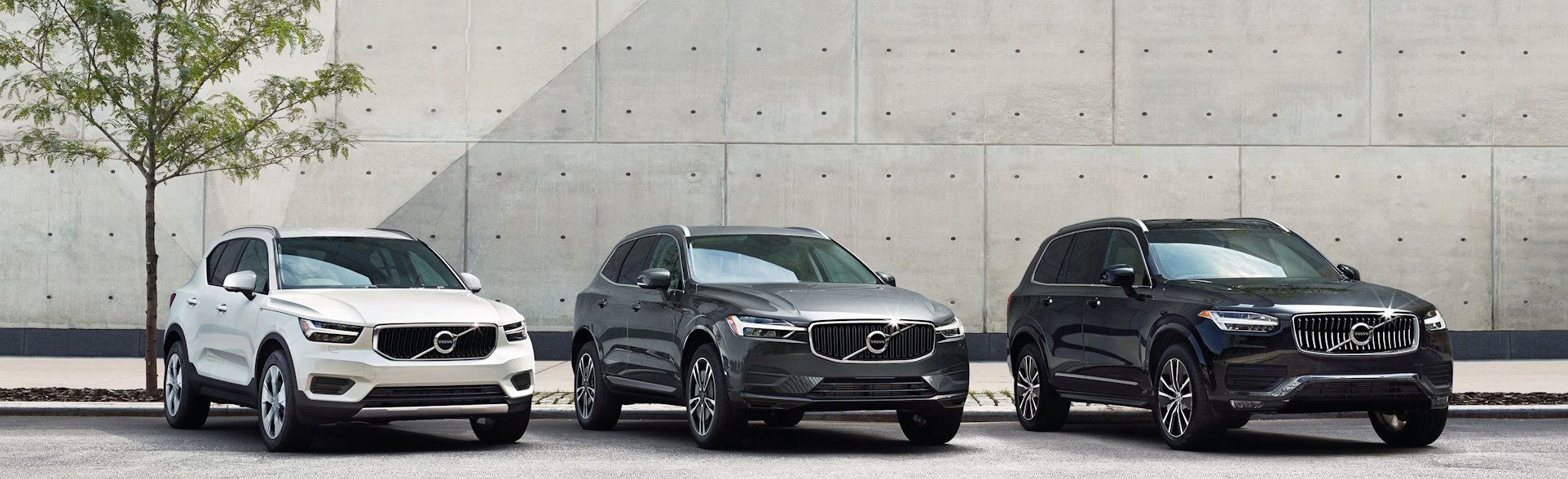 New and Used Volvo Retailer | Sussex | Caffyns Volvo