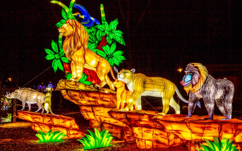 8 Fabulously Festive Christmas Markets in Yorkshire 2023 | JCT600