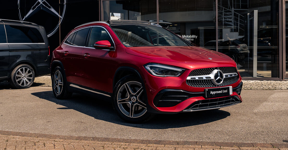 Best Cars for Dog Owners to Buy in 2025 | JCT600